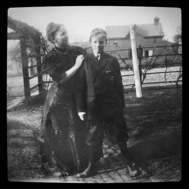 Go WEST! Rebuilding San Francisco – It's a Beautiful Tree