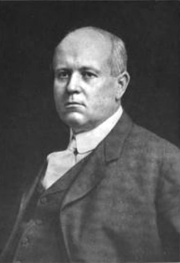 Go WEST! Rebuilding San Francisco – It's a Beautiful Tree